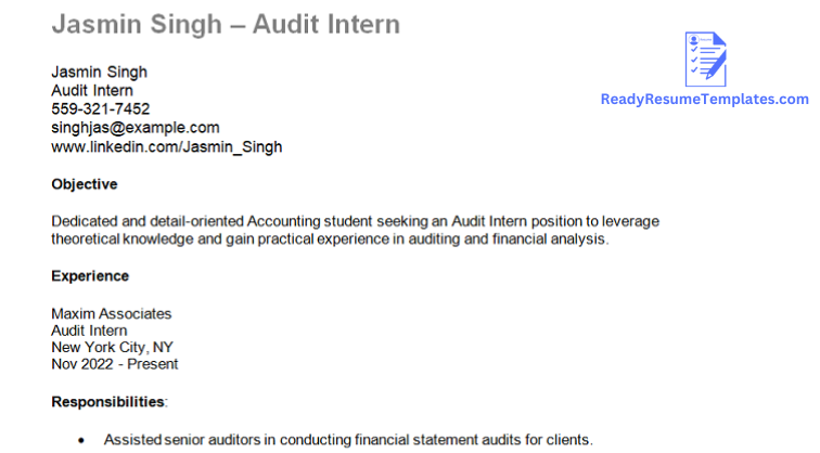 ATS-Friendly Audit Intern Resume Template For 2023 - Ready Resume Templates